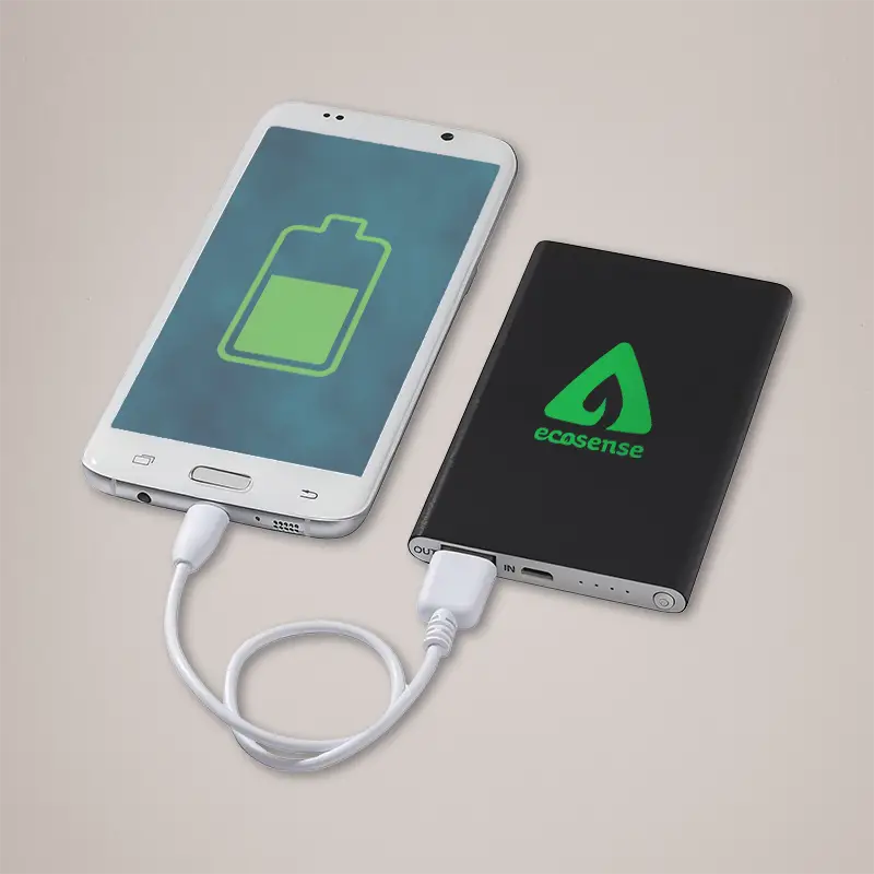 Slim power bank store